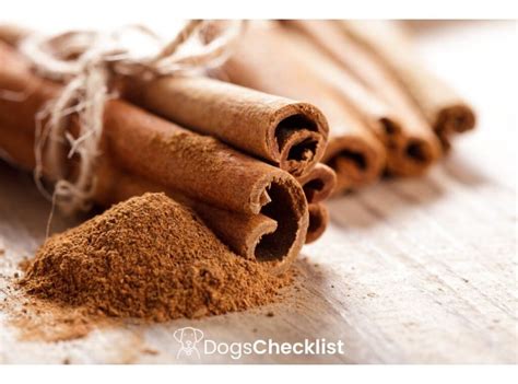 Can Dogs Eat Cinnamon The Ultimate Guide 2023 Exploring Health