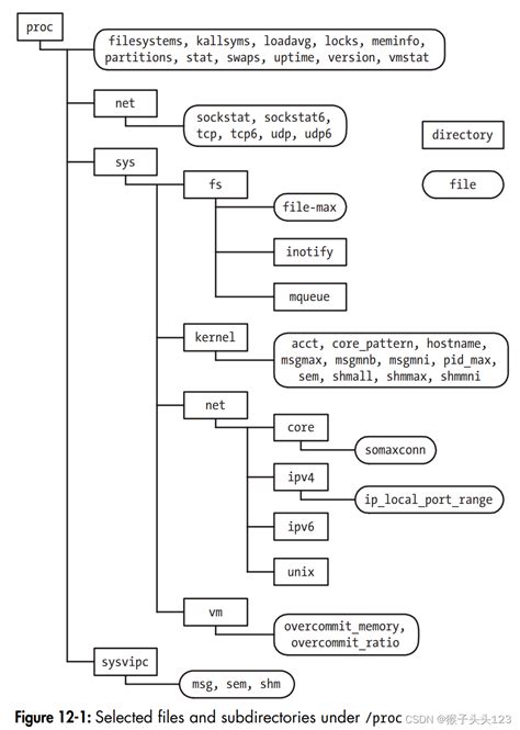 深入理解unixlinux：proc文件系统与系统id Csdn博客