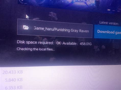 Checking The Local Files Problem Rpunishinggrayraven