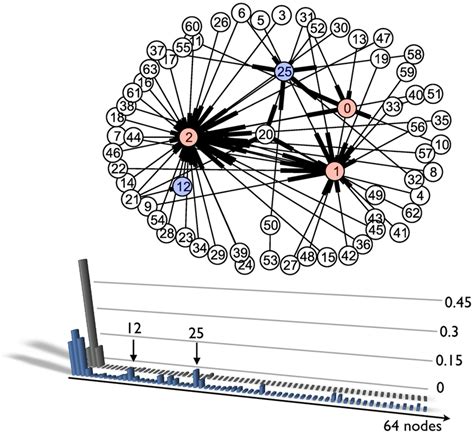 Scale Free Graph With 64 Nodes And The Comparison Of The Importance Of