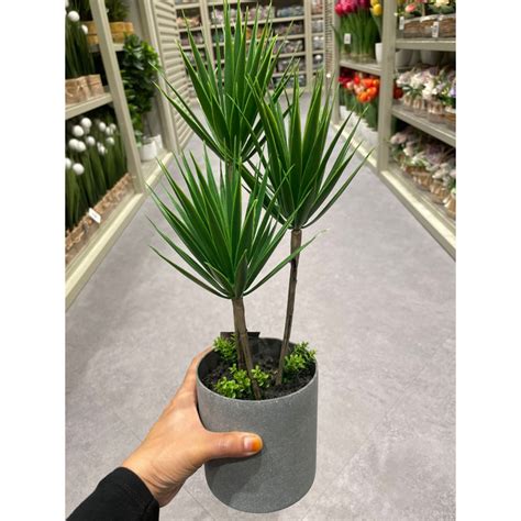 3 Ready Stock Kaison Artificial Plant Pokok Hiasan Kaison Shopee