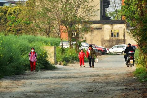 放学回家 李焕春