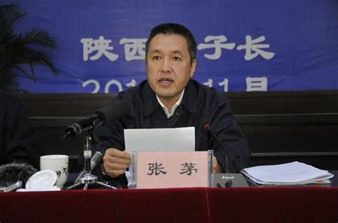 张茅访谈努力让老百姓看得上病 看得起病 看得好病