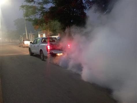 Intensifican fumigación contra el mosco del dengue Mérida Moderna