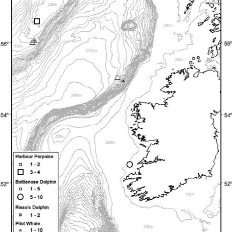 Cetacean Species Diversity Sightings Counts And Relative Abundance Download Table