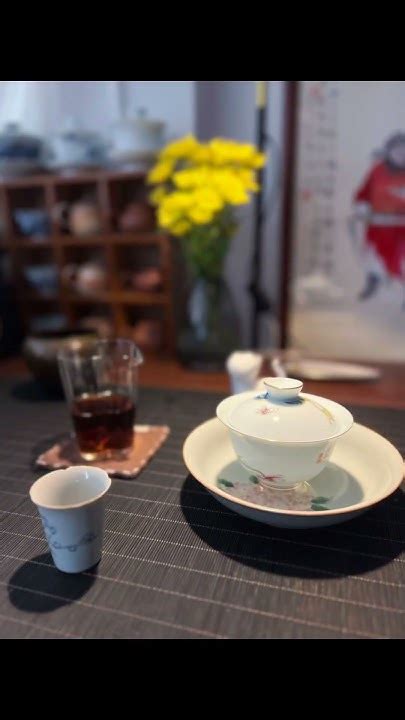 人最有魅力的时候，就是对一切人和事都不在乎的样子。茶生活茶茶叶茶知识 普洱茶 加wechat：zcj049 Youtube