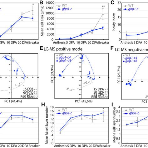 Cellular Parameters And Composition During Pericarp Development