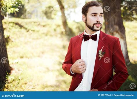 Stylish Groom In Tuxedo Looking Away Suit Marsala Red Burgundy Bow Tie