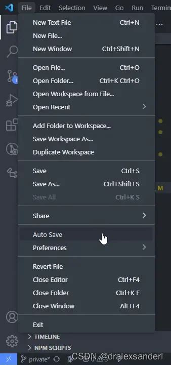 提高使用vs Code工作效率的技巧vscode Timeline Csdn博客