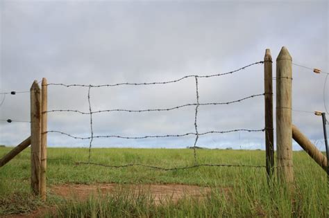 Investigarán A Jueza Que Adjudicó Más De 6 Mil Hectáreas De Tierras Al