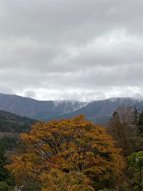 告知縦横無尽 雨宮節沖縄と山を語る