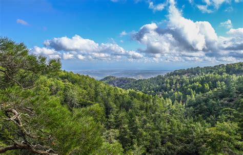 Troodos 산 사이 프 러 스의 탑입니다 0명에 대한 스톡 사진 및 기타 이미지 0명 가문비나무 경관 Istock