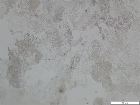 Solved 1 Discussion Of The Microstructures Of Fe C For The