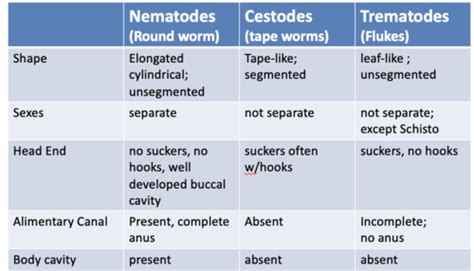 Had 425 Nematodes Cestodes And Trematodes Flashcards Quizlet