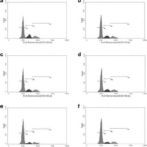 A Scheme For Sirna Mediated Gene Silencing The Primary Sequence Download Scientific Diagram
