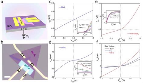 A Schematic Diagram Of Fets Based On The Snse Mos2 Heterostructure Download Scientific