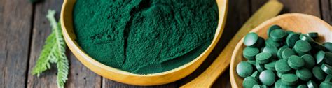 Chlorella Vulgaris A Fascinating Sustainable And Promising Algae…
