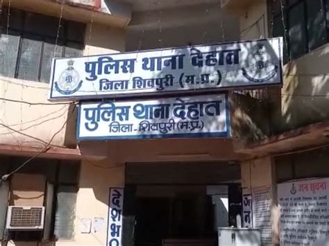 Brother In Law Instigated Brother Against Sister In Law Brother Beat
