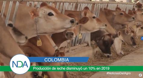 Noticias Del Agro Emisión 02 De Marzo 2020