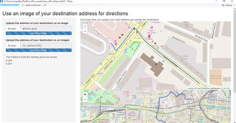 Shiny Application