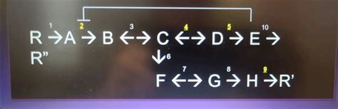 Solved Given The Pathway Shown Below For Both Photos So Chegg