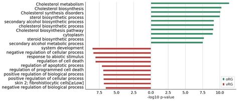 Gene Regulatory Network Reconstruction From Human Neural Progenitor