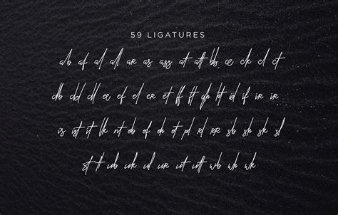 Ballistick Signature Script Font Free Download