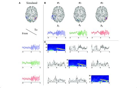 A Simulation Of An Epileptic Network In The Top Locations Of The Download Scientific
