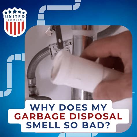 Why Does My Garbage Disposal Smell So Bad United Plumbing Blog
