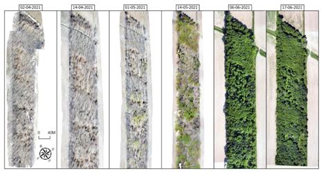 Master Of Spatial Analysis Tmu On Linkedin Msa Student Spotlight
