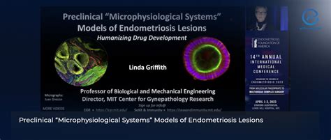 Preclinical Organ On Chip Models Of Endometriosis Lesions Linda