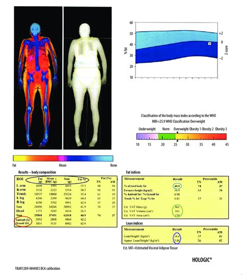 Result Of The Body Composition Assessment Soft Tissues The Table On