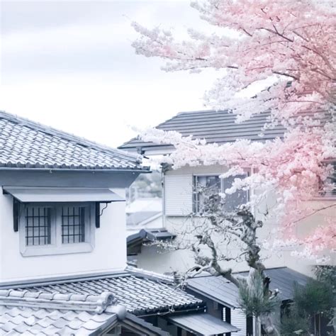 但悲伤总是如此可贵：你确定我的存在 才肯 高清图片，堆糖，美图壁纸兴趣社区