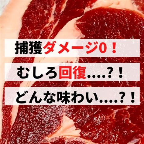 株式会社noblesse Oblige 〆の変態が手がける極上ジビエ：眠り〆