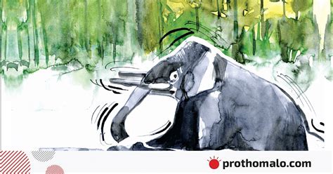 পঞ্চম শ্রেণি প্রাথমিক বিজ্ঞান অধ্যায় ২ শূন্যস্থান পূরণ ১ ১০ প্রথম আলো