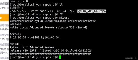 安装【银河麒麟v10】linux系统 并挂载镜像 Csdn博客