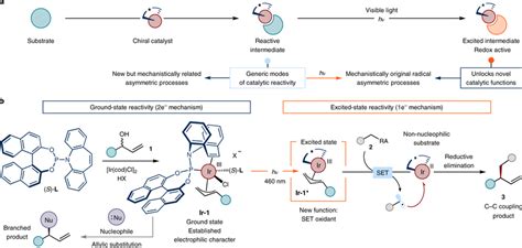Enhancing The Potential Of Generic Modes Of Catalytic Reactivity With Download Scientific