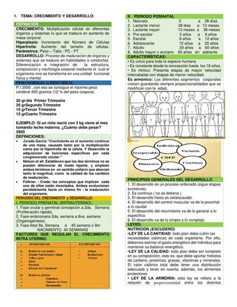 Neonatología 3 Alicia En Medicina By Gabriela Soplin Villacorta Udocz