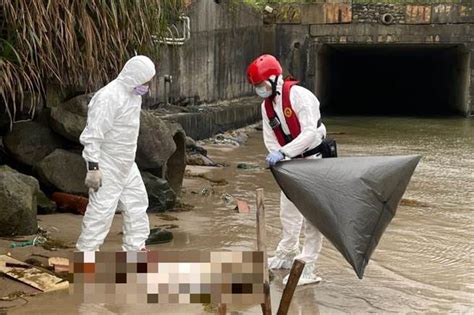 新北萬里海漂死豬驗出「非洲豬瘟陽性反應」新北動保處啟動管制 生活 中時