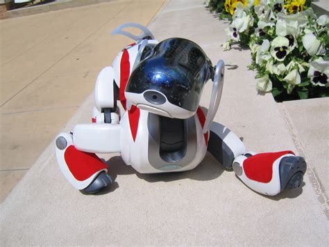 2048x1536 Aibo Robot Wallpaper Coolwallpapers Me
