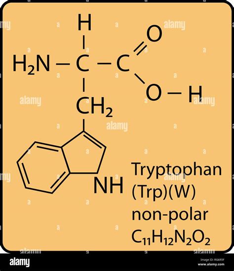 Tryptophan