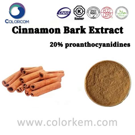 High Quality Magnolia Bark Extract Manufacturer And Supplier Factory