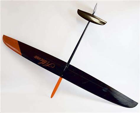 RC Gliders RC Gliders Radio Control DLG Micro Gliders