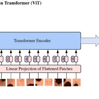 Vision Transformer ViT Model Architecture ViT Breaks The Image Into
