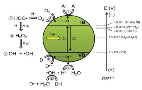 Schematic Representation Of Reactions Which Occur In TiO Photo Download Scientific Diagram