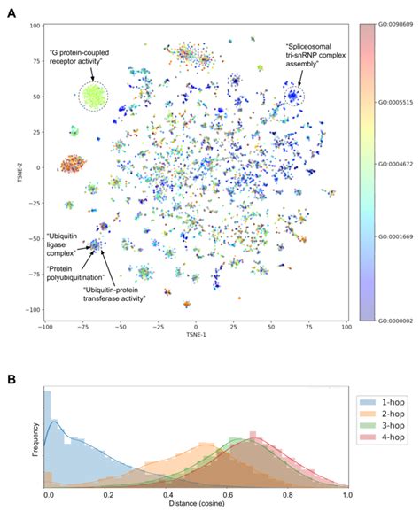 visualization of unsupervised gene embeddings a t sne projections of