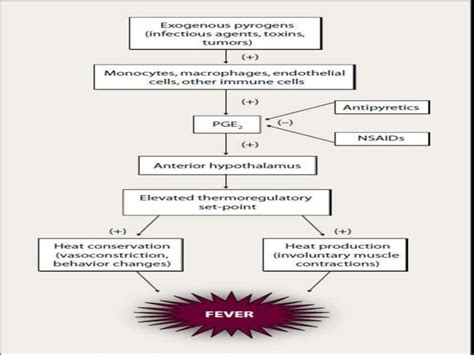 Fever Of Unknown Origin Pptx