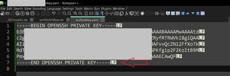 Key Authentication Ssh Error While Logging In Using Private Key Loaded Pubkey Invalid Format