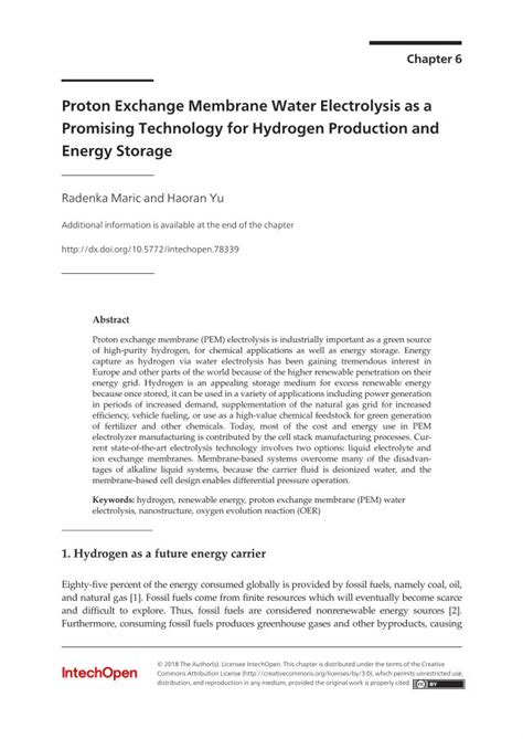 PDF Proton Exchange Membrane Water Electrolysis As A Promising DOKUMEN TIPS