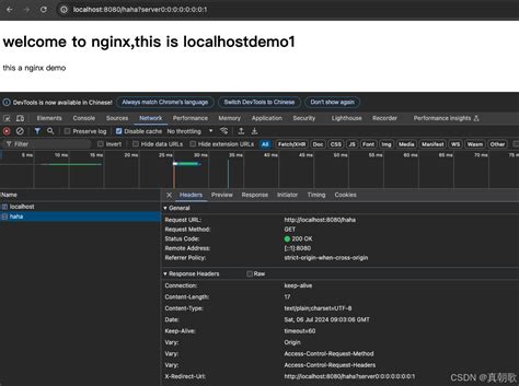 nginx在日常工作中的使用之反向代理 nginx反向代理日志 csdn博客